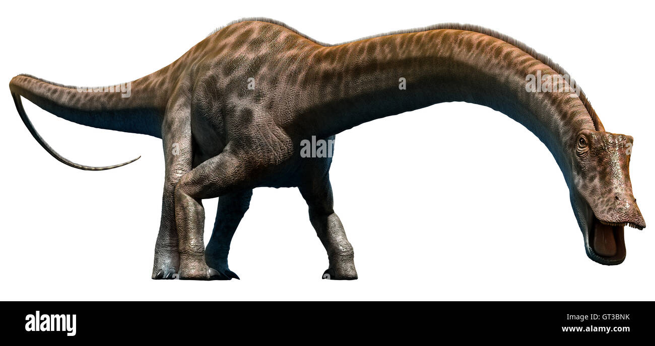 Diplodocus dinosaur Banque de photographies et d’images à haute résolution - Alamy