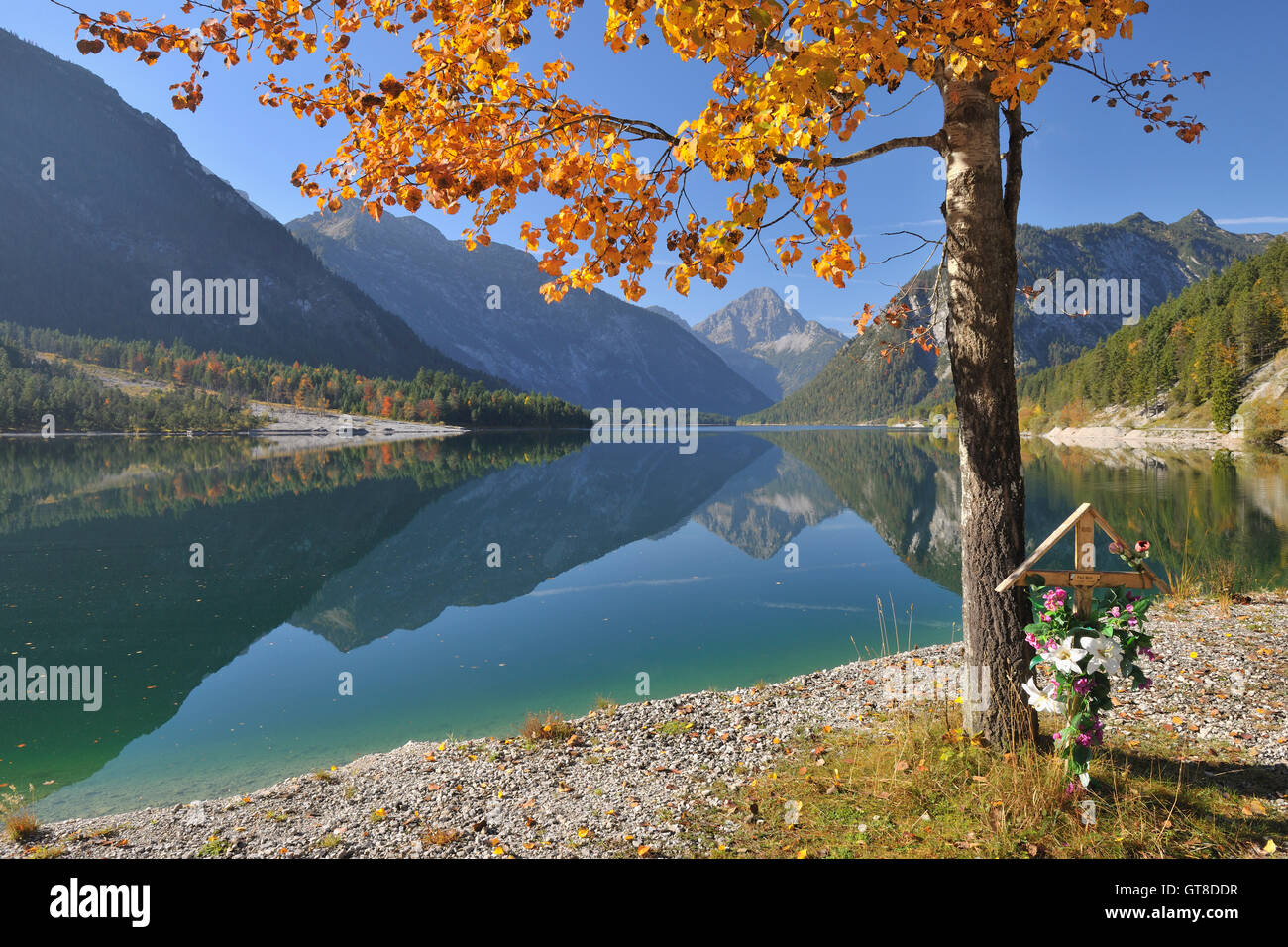 Tyrol autriche en automne avec des feuilles d'automne Banque de ...