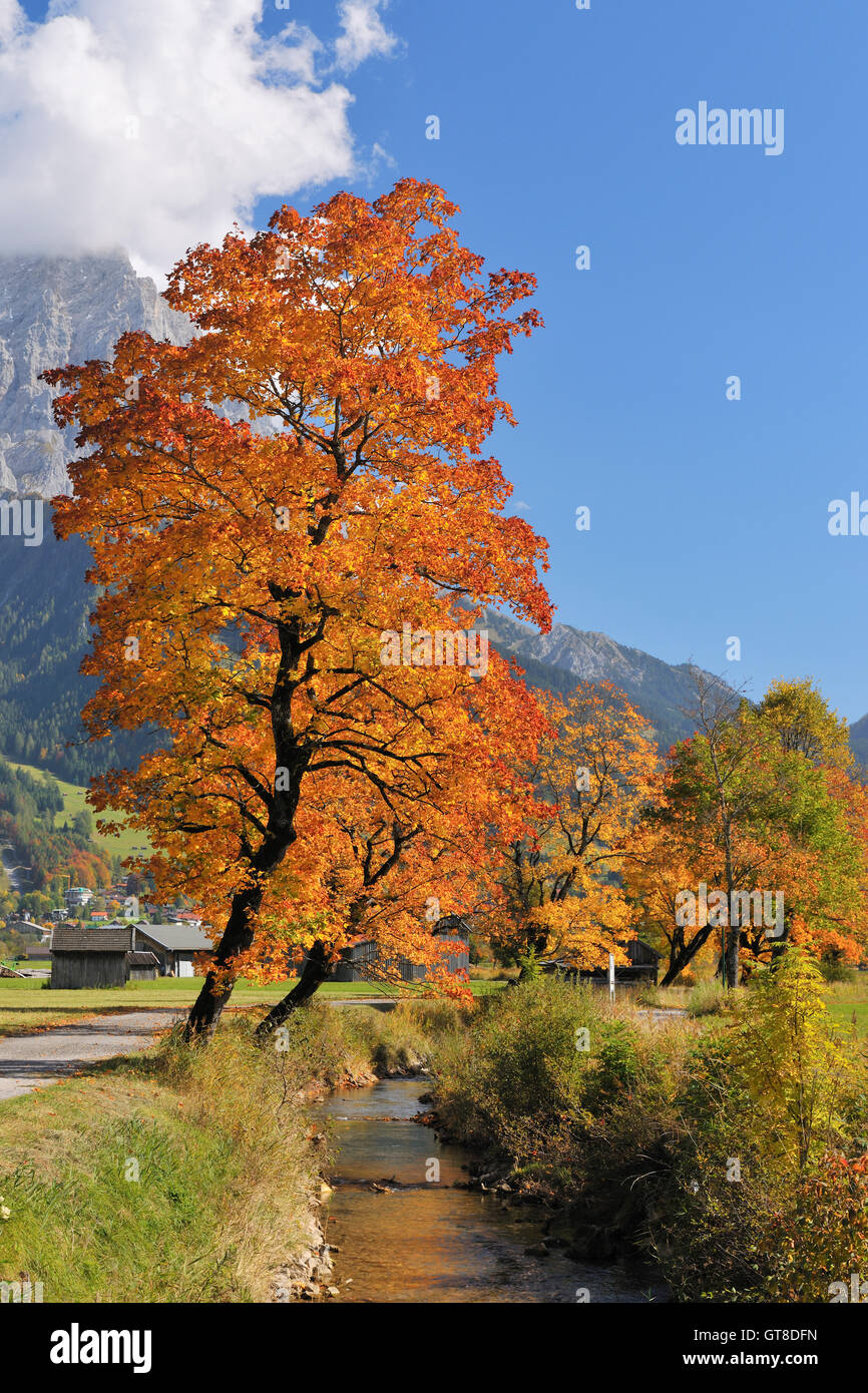 Tyrol autriche en automne avec des feuilles d'automne Banque de ...