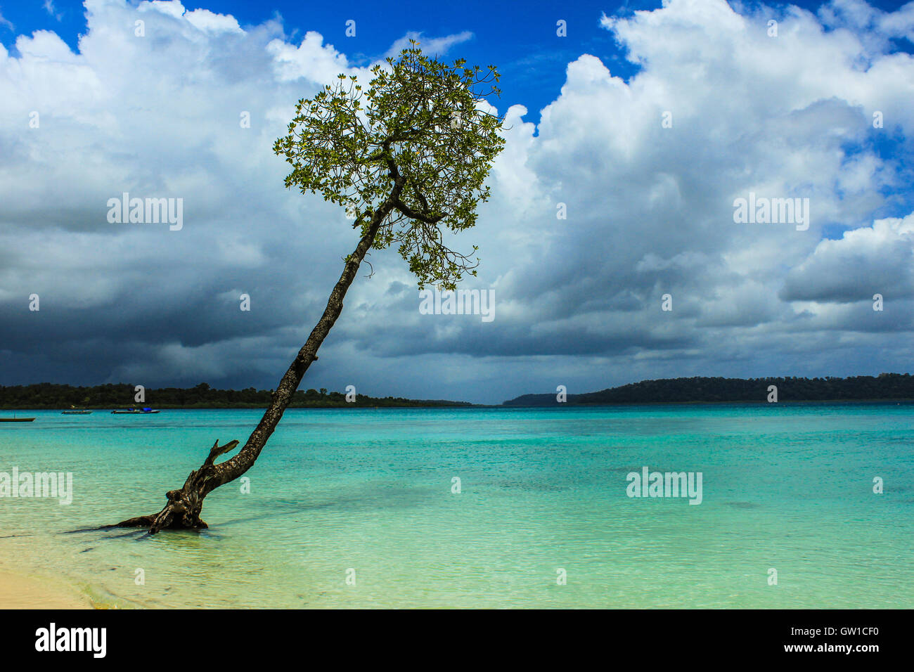 Mer claire Banque de photographies et d’images à haute résolution - Alamy