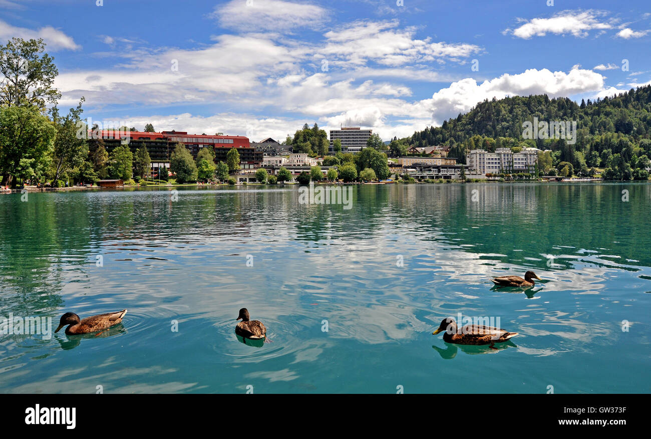 Ville de bled Banque de photographies et d’images à haute résolution ...