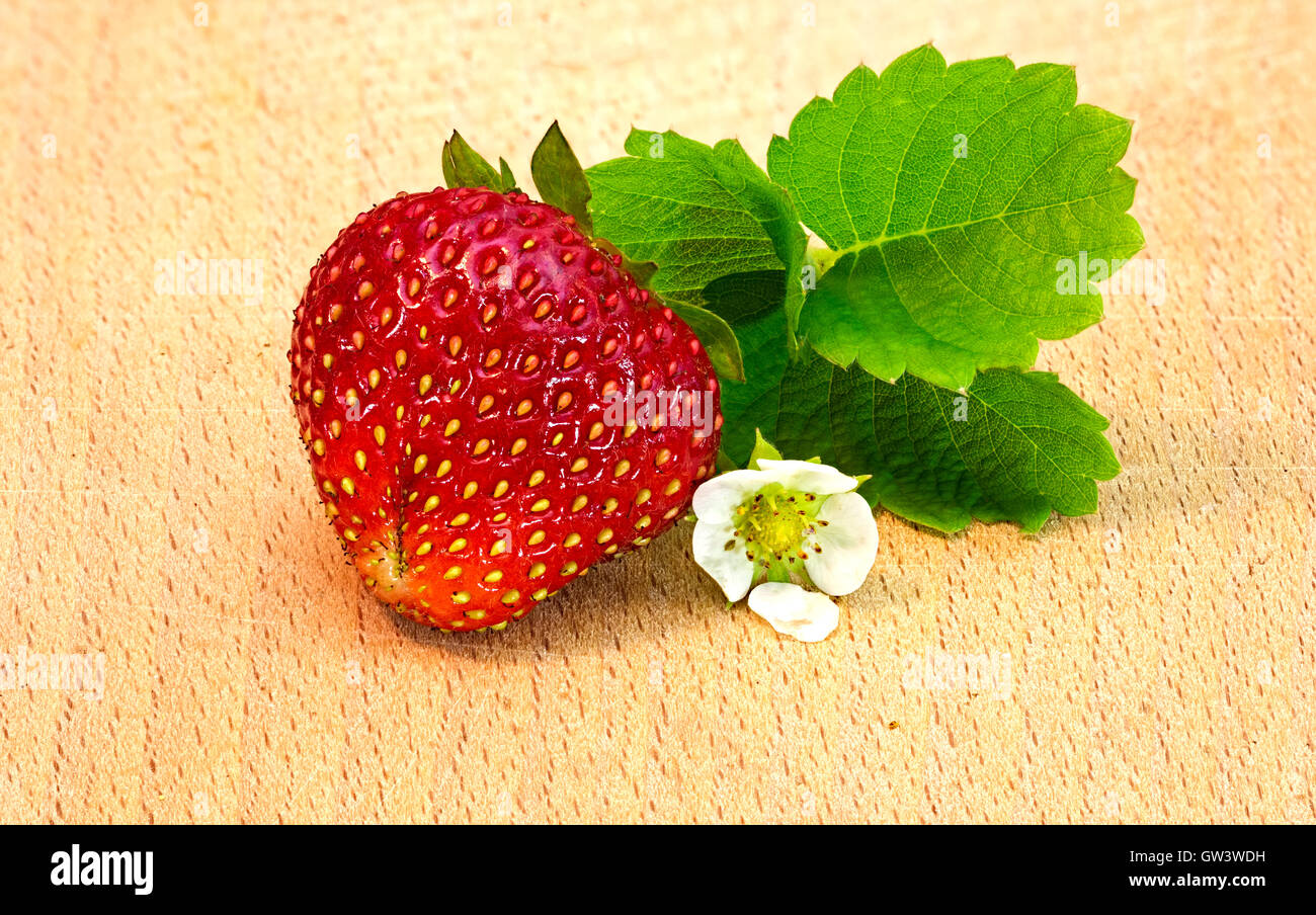 Feuilles de fraise Banque de photographies et d’images à haute ...