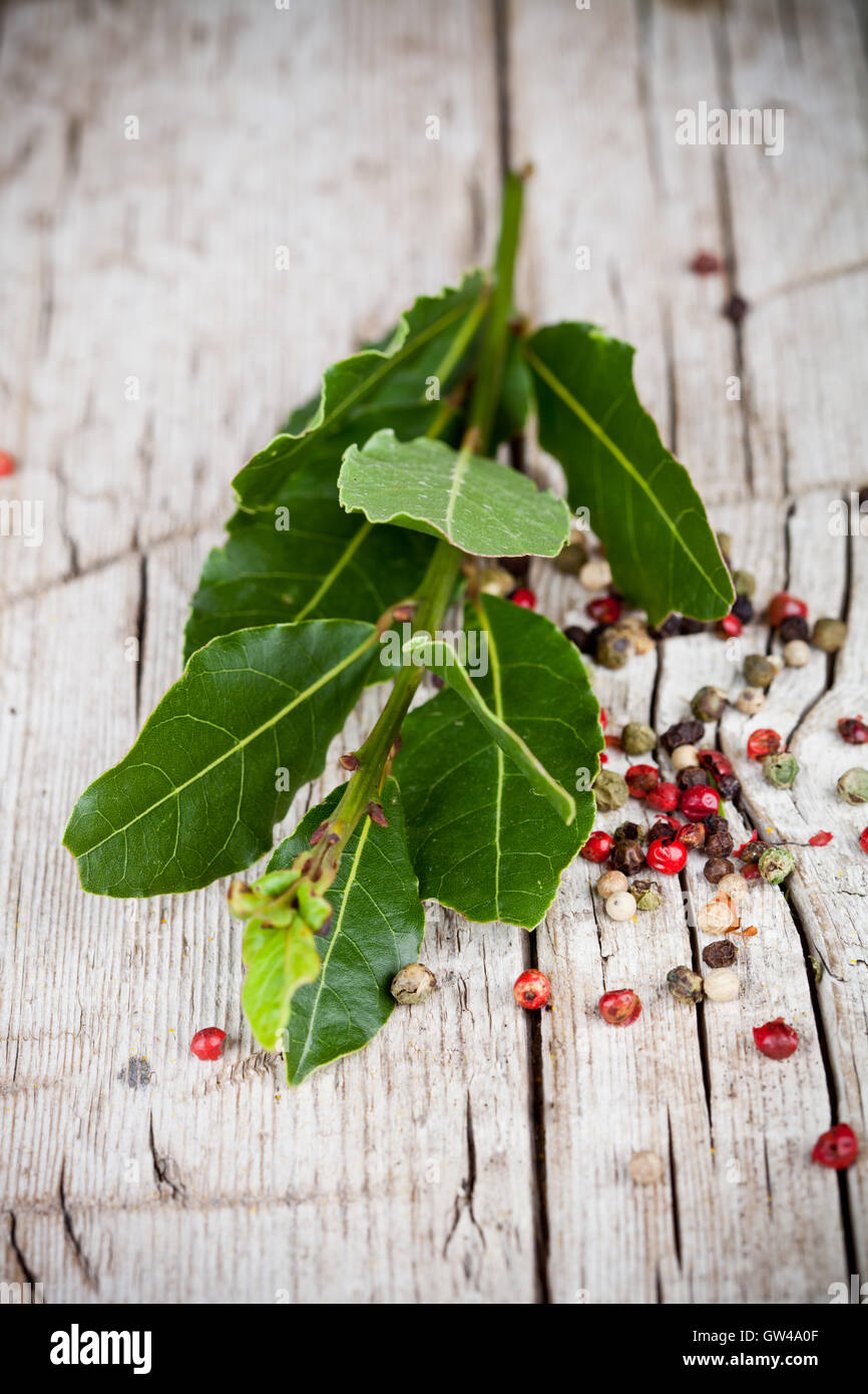 Feuille De Laurier Unique Banque d'image et photos - Alamy
