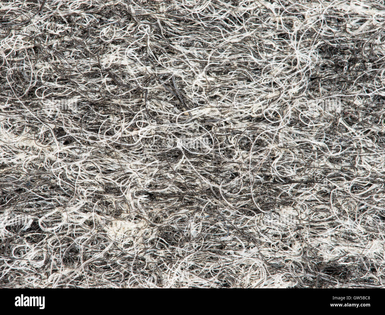 Tissu en feutre blanc Banque de photographies et d’images à haute ...