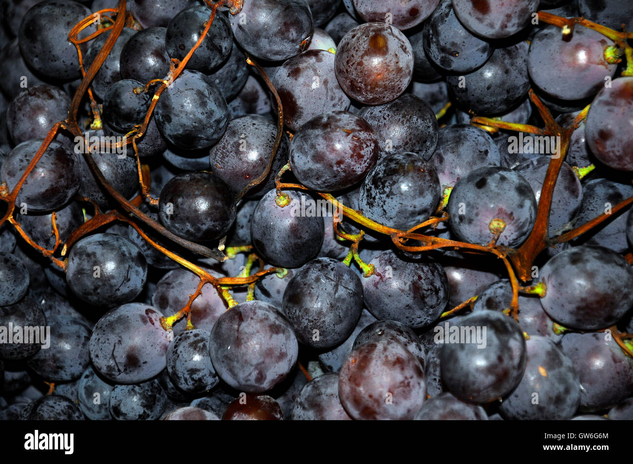 Vine fruits Banque de photographies et d’images à haute résolution - Alamy