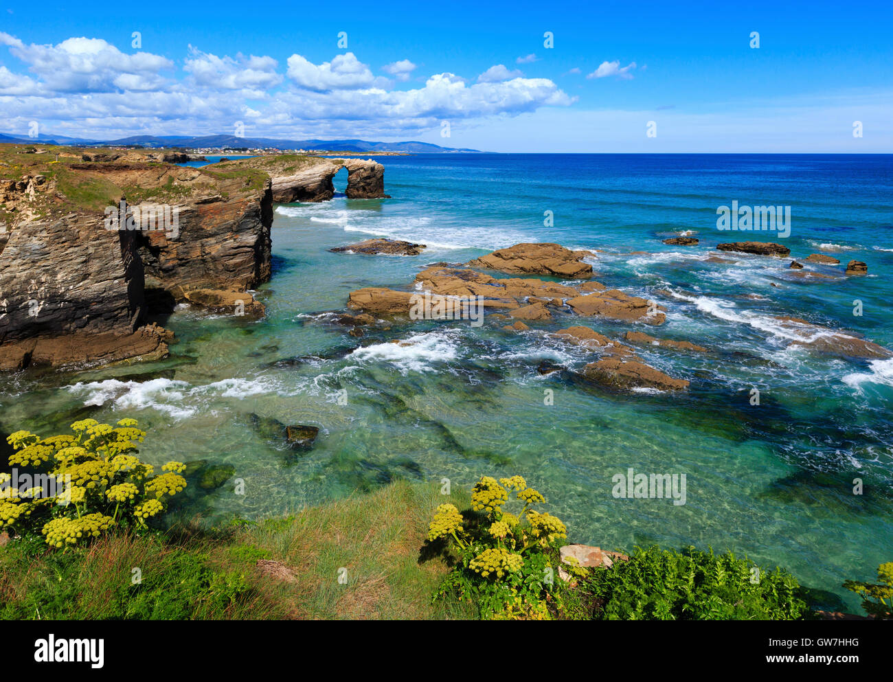 La côte cantabrique en fleurs paysage d'été, la plage des Cathédrales ...