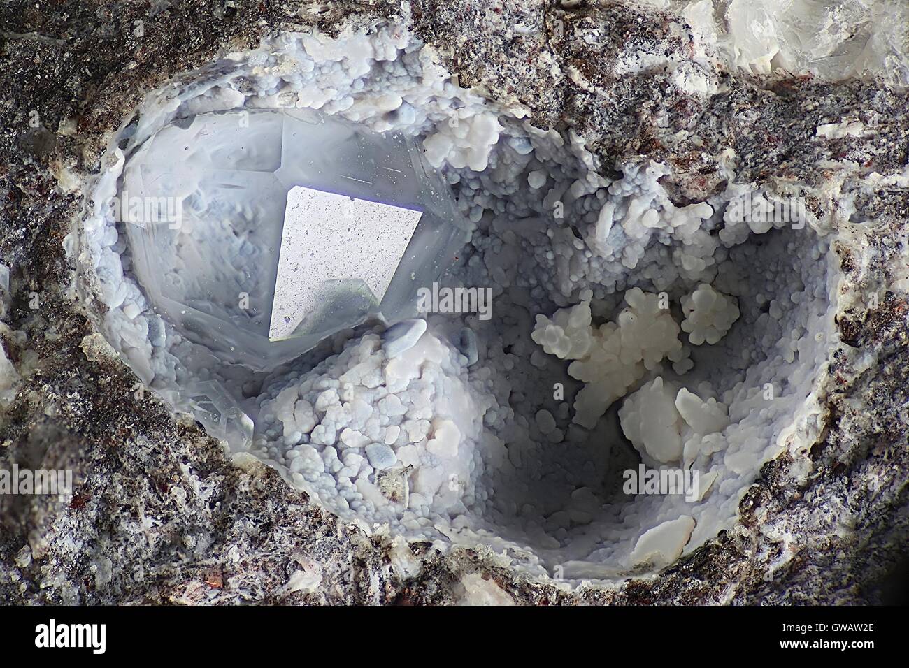 Microscope bijou Banque de photographies et d’images à haute résolution ...