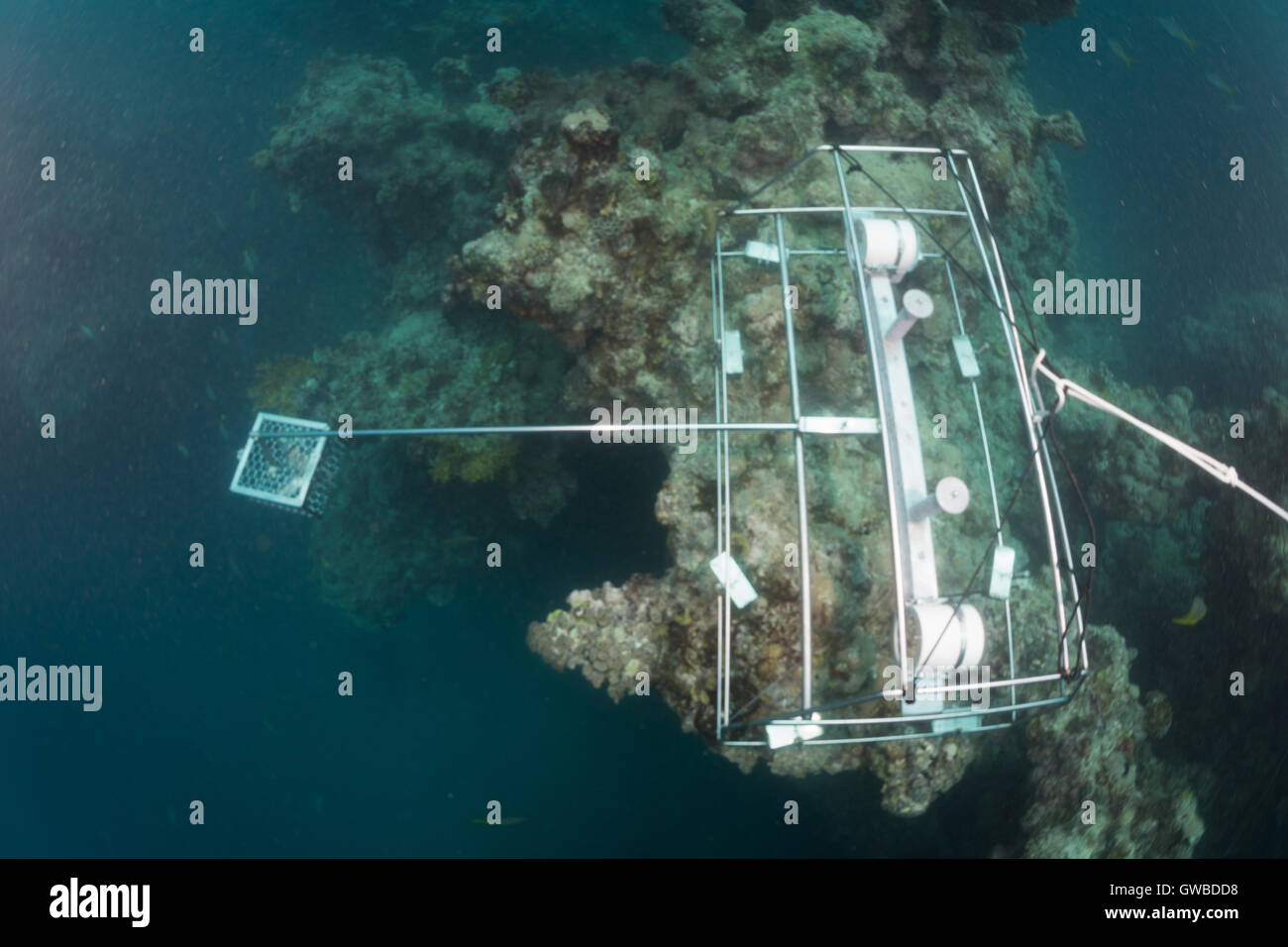 Vidéo sous-marine à distance appâtés BRUV - utilisés dans la zone de ...