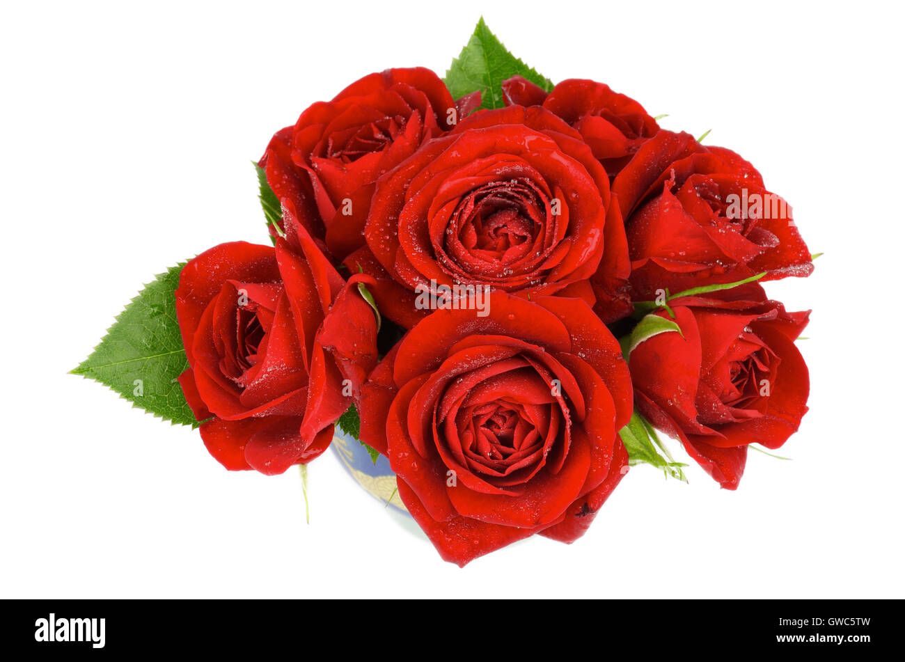 Trois roses dans l'eau Banque de photographies et d’images à haute ...