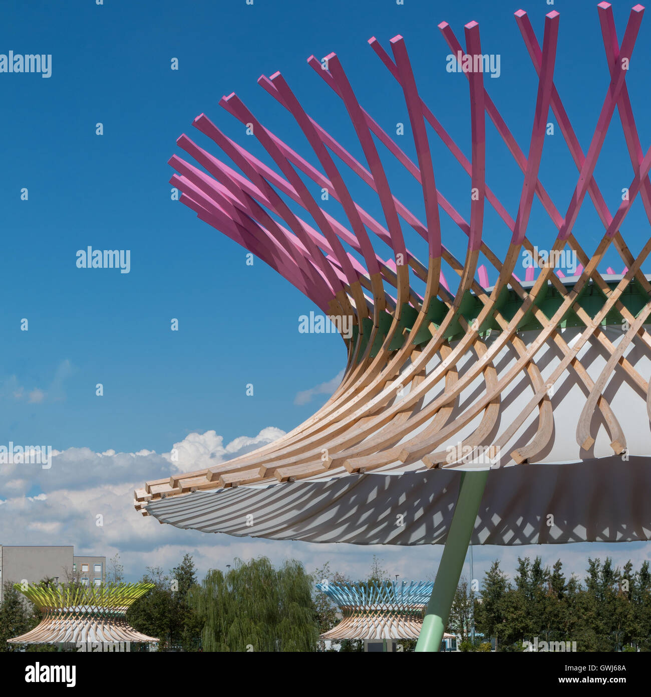 Structure courbe en bois : Bâtiment avec architecture moderne Photo ...