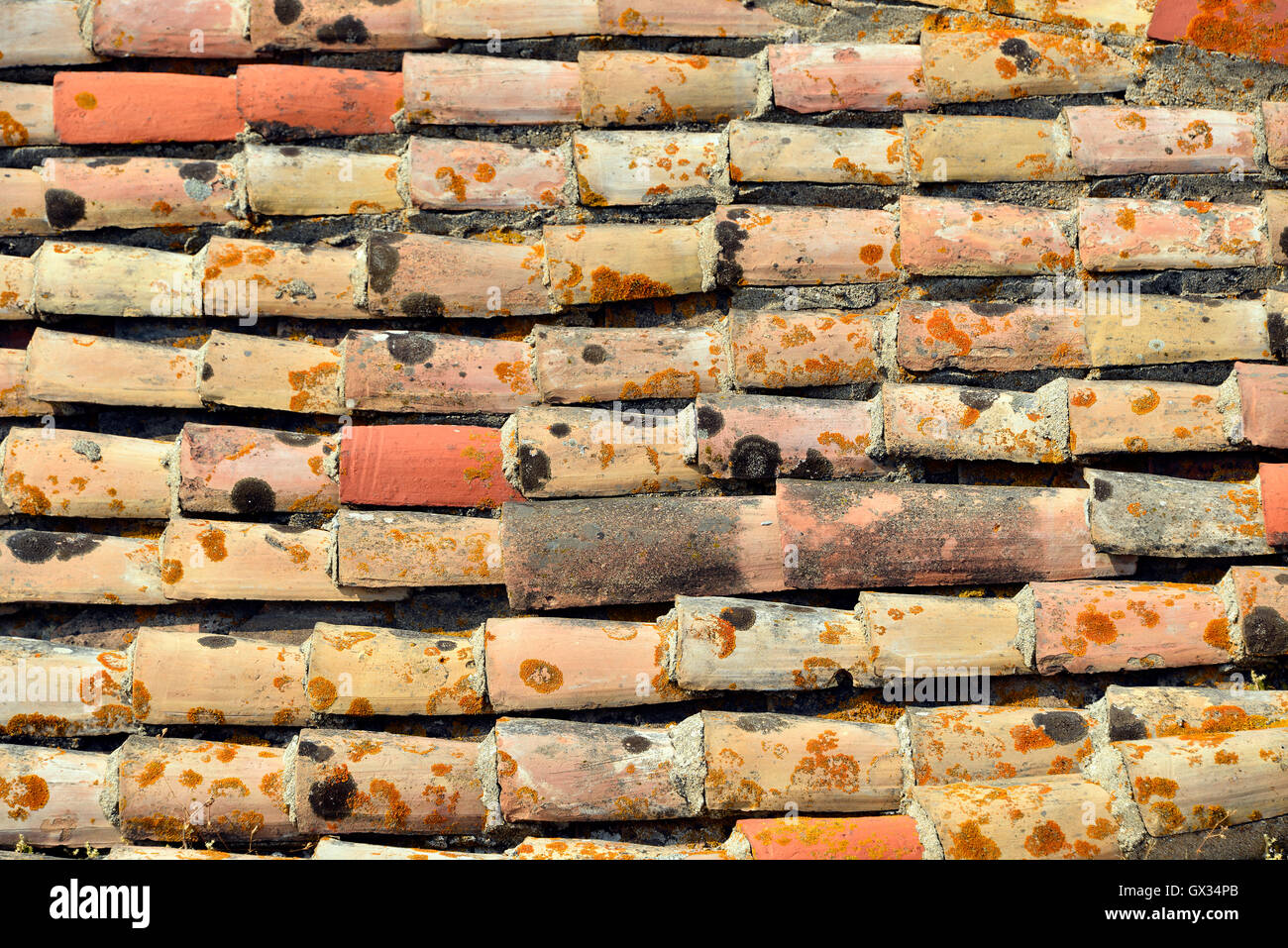 Toit de tuiles Provençal Photo Stock - Alamy