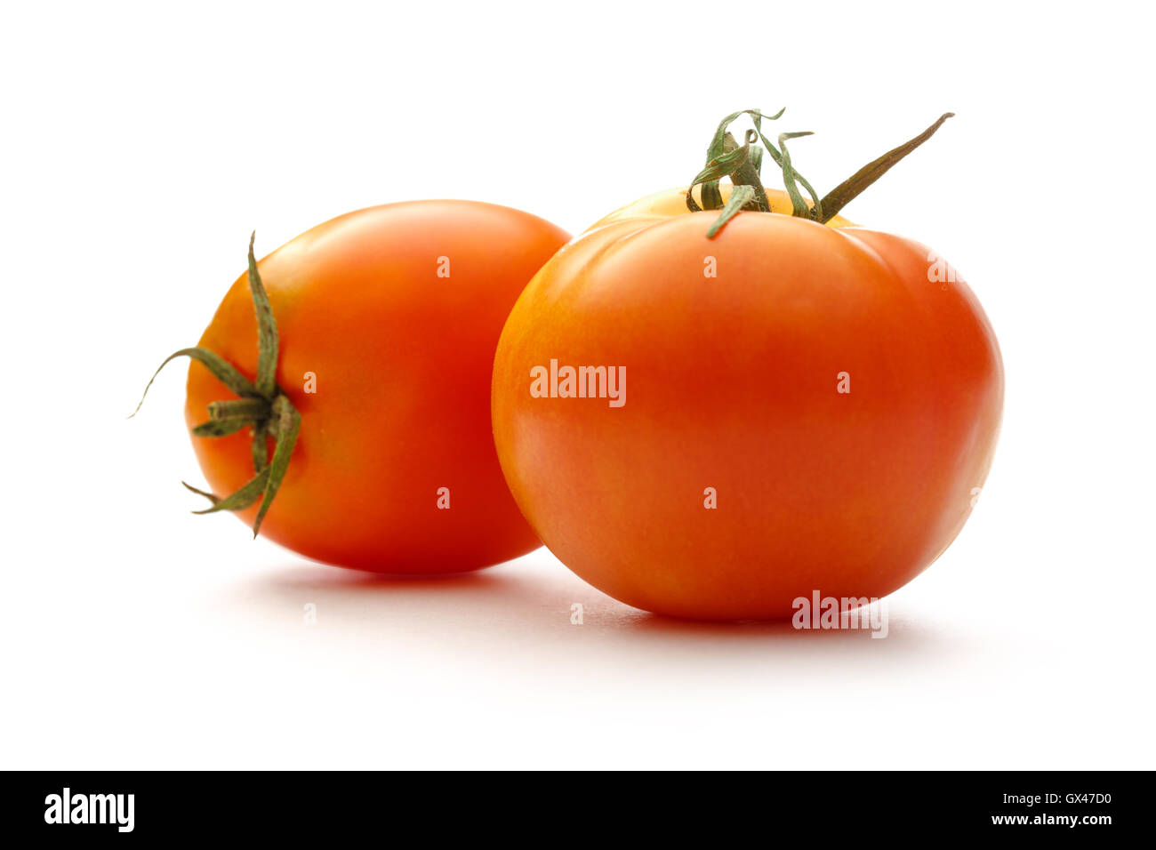 Tomate rouge sur fond blanc Banque de photographies et d’images à haute ...