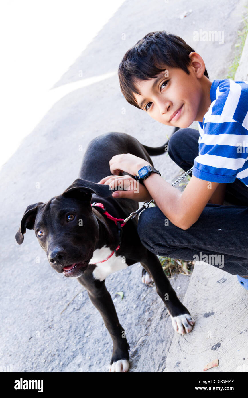 Pitbull mexicain Banque de photographies et d’images à haute résolution ...