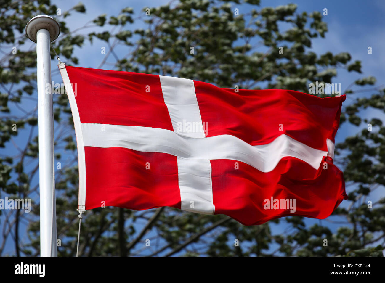 Dannebrog, le drapeau danois Photo Stock - Alamy
