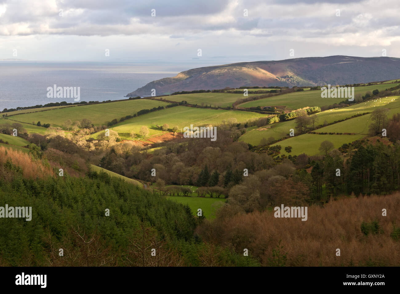Hurlestone point Banque de photographies et d’images à haute résolution ...