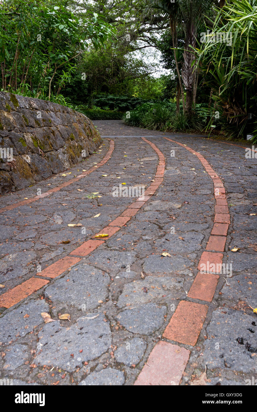 Chemin pavé à travers une forêt tropicale paysagée hôtel au Costa Rica ...