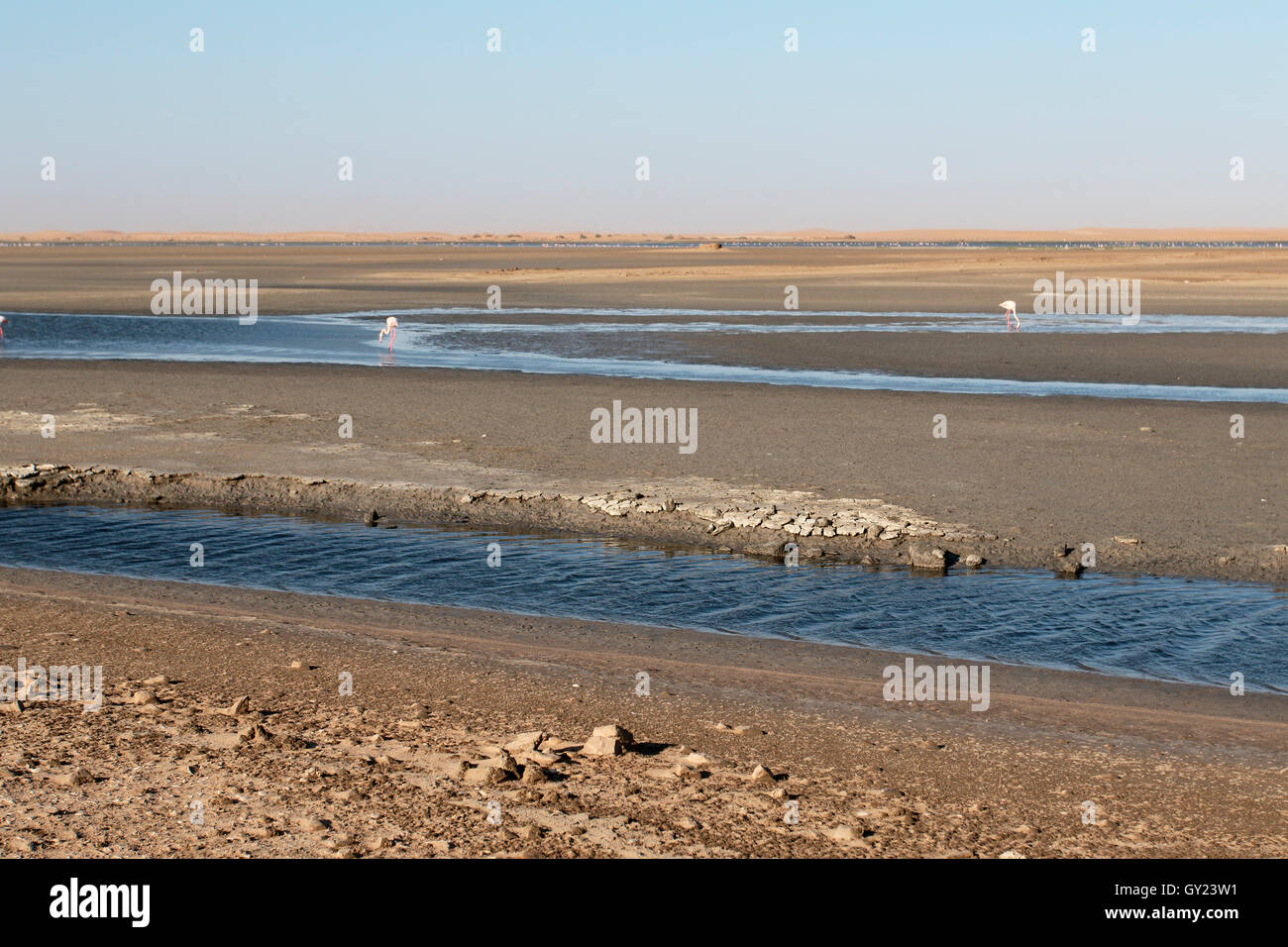 Walvis bay Banque de photographies et d’images à haute résolution - Alamy