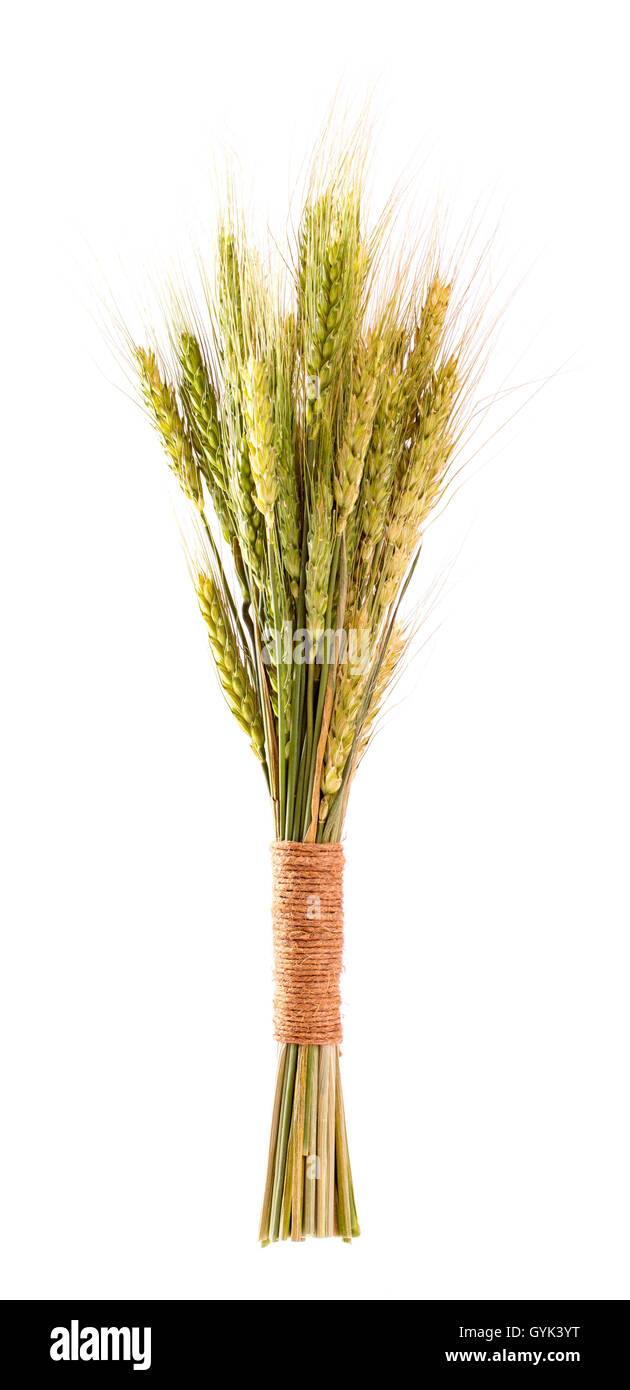 Gerbe verte Banque de photographies et d’images à haute résolution - Alamy