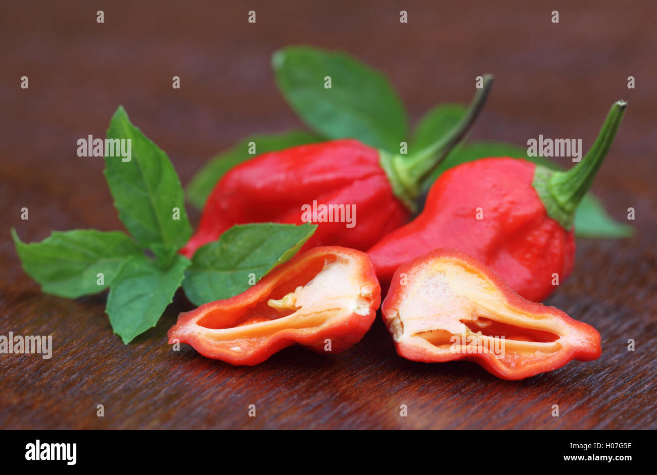 Bhut jolokia Banque de photographies et d’images à haute résolution - Alamy