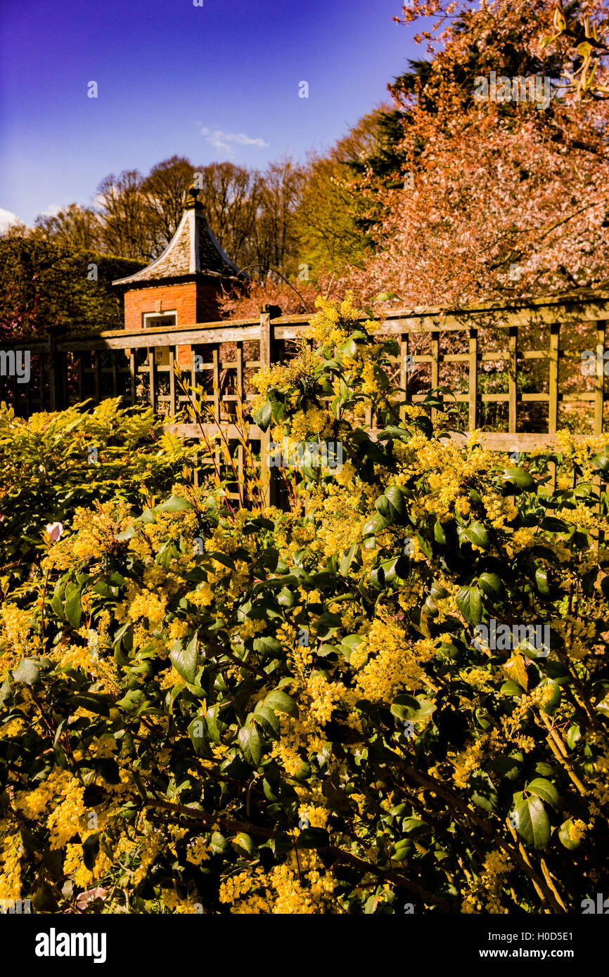 Cotswold hidcote Banque de photographies et d’images à haute résolution ...