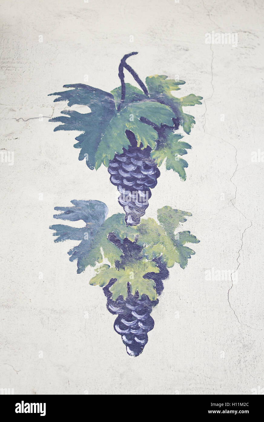 Dessin de grappe de raisin Banque de photographies et d’images à haute ...