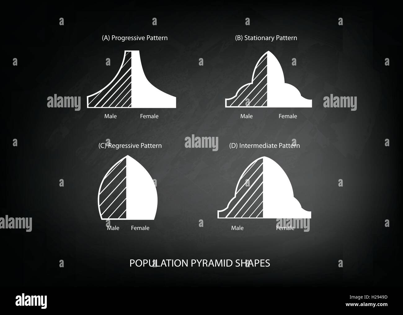 Population et démographie, Illustration Set de 4 types de pyramides des ...