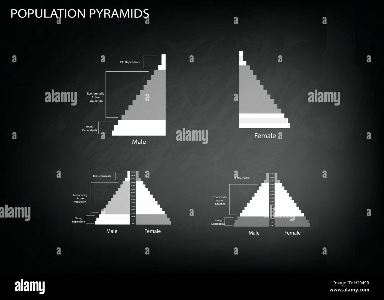 Population et démographie, Illustration de détail des pyramides des ...