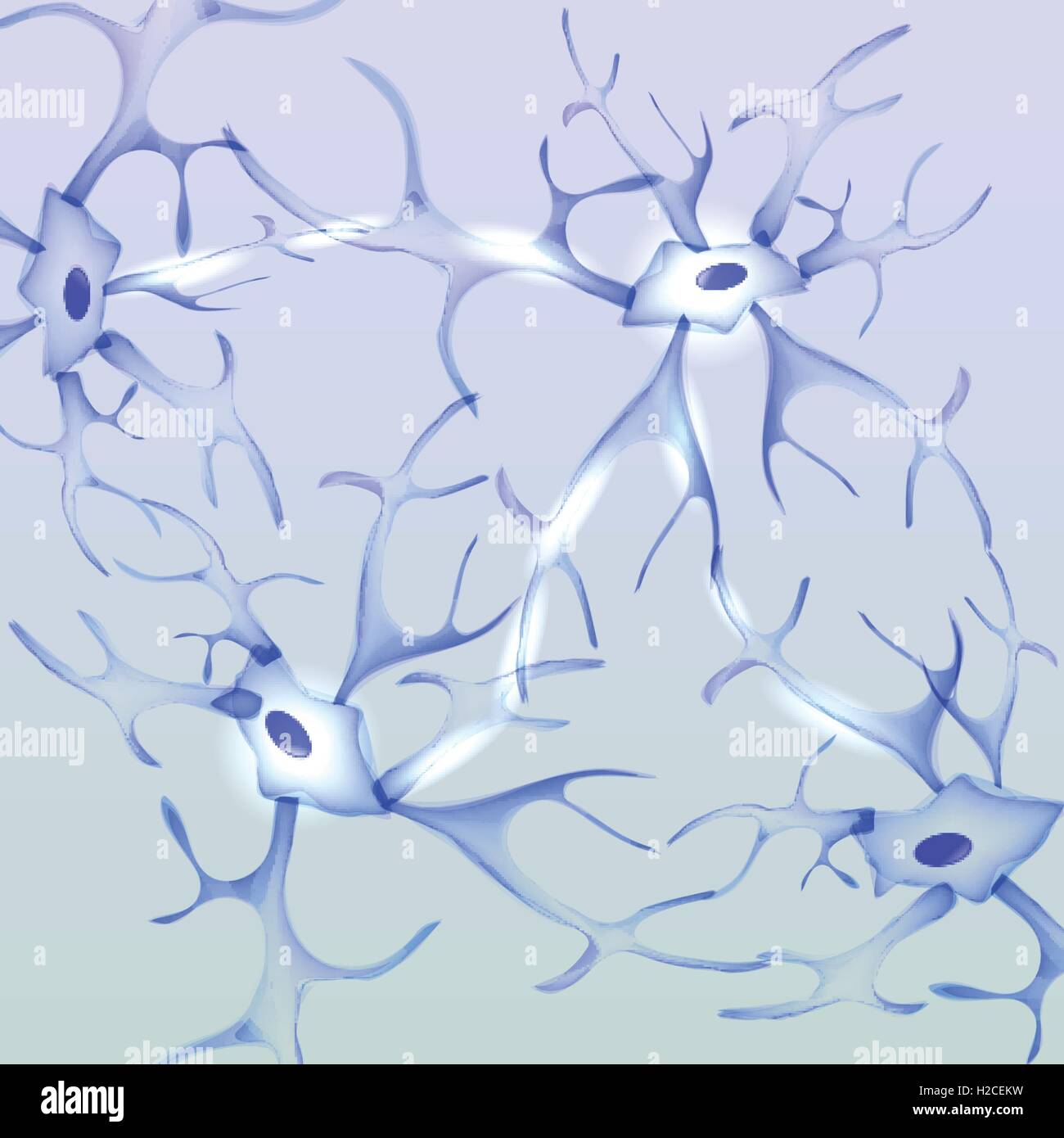 Neurone schéma Banque de photographies et d’images à haute résolution ...