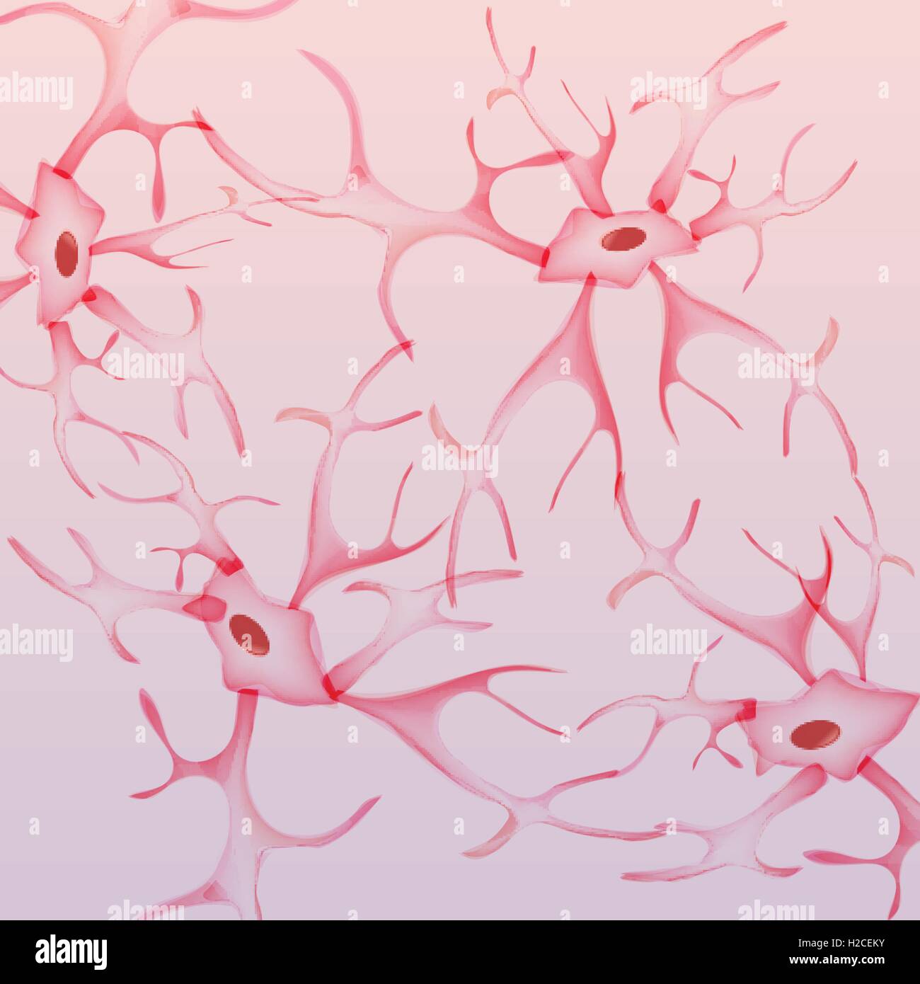 Image de la cellule nerveuse Banque d'images vectorielles - Alamy