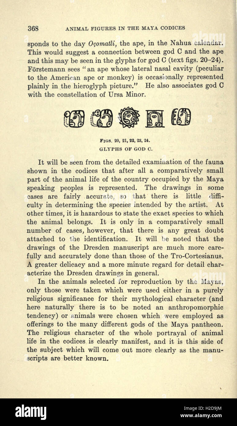 'Figures animales dans les codices mayas' explore la représentation des ...