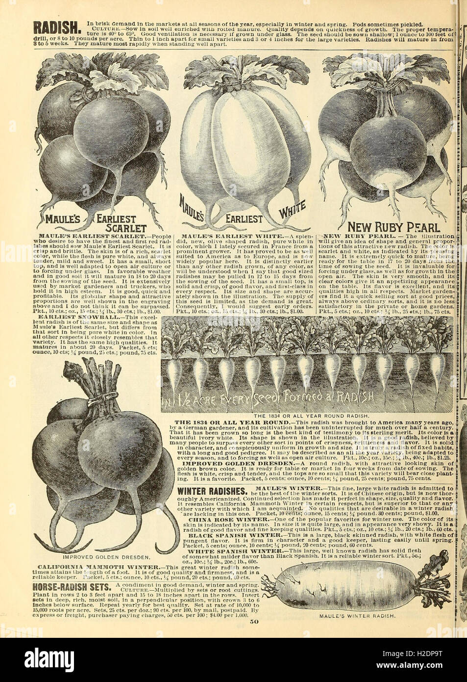 Le catalogue de semences 1900 de Maule fournit une liste complète des ...