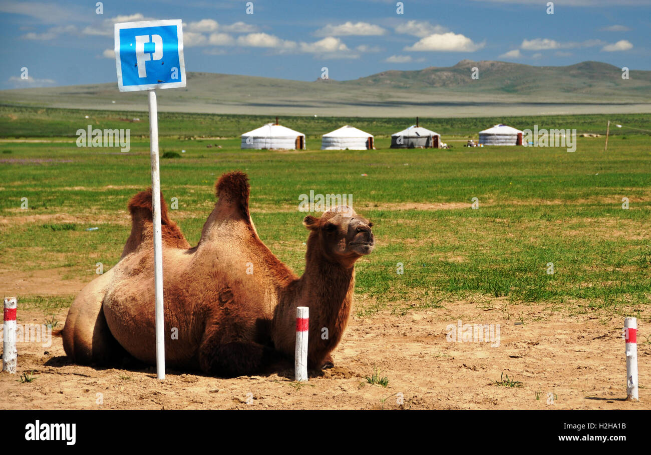 Bulgan aimag Banque de photographies et d’images à haute résolution - Alamy