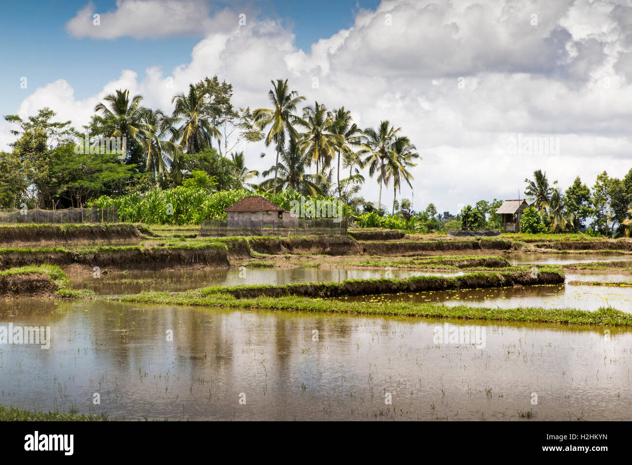 Irrigation Des Champs Banque d'image et photos - Alamy