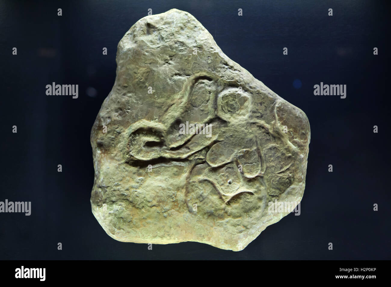 Vénus de Berlin. Réplique en plâtre du bas-relief de calcaire associé à ...