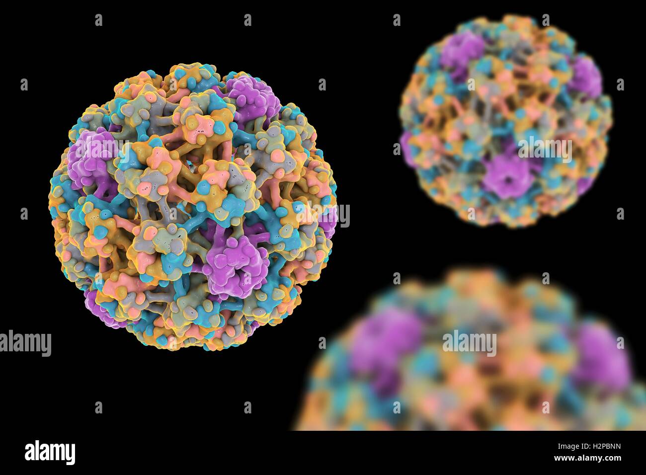 Virus du papillome humain Banque de photographies et d’images à haute ...