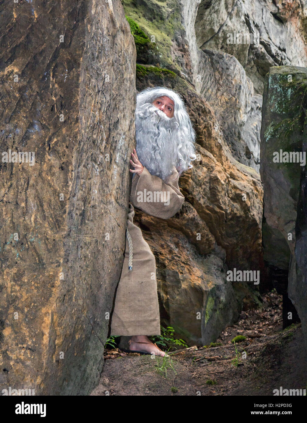 Homme barbu regard naturel vieux Banque d'image et photos - Alamy