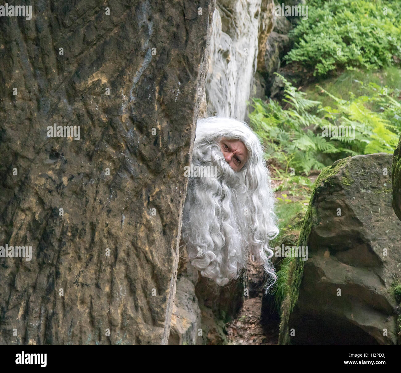 Vieil ermite se profile derrière la roche. Le moine barbu dans la ...