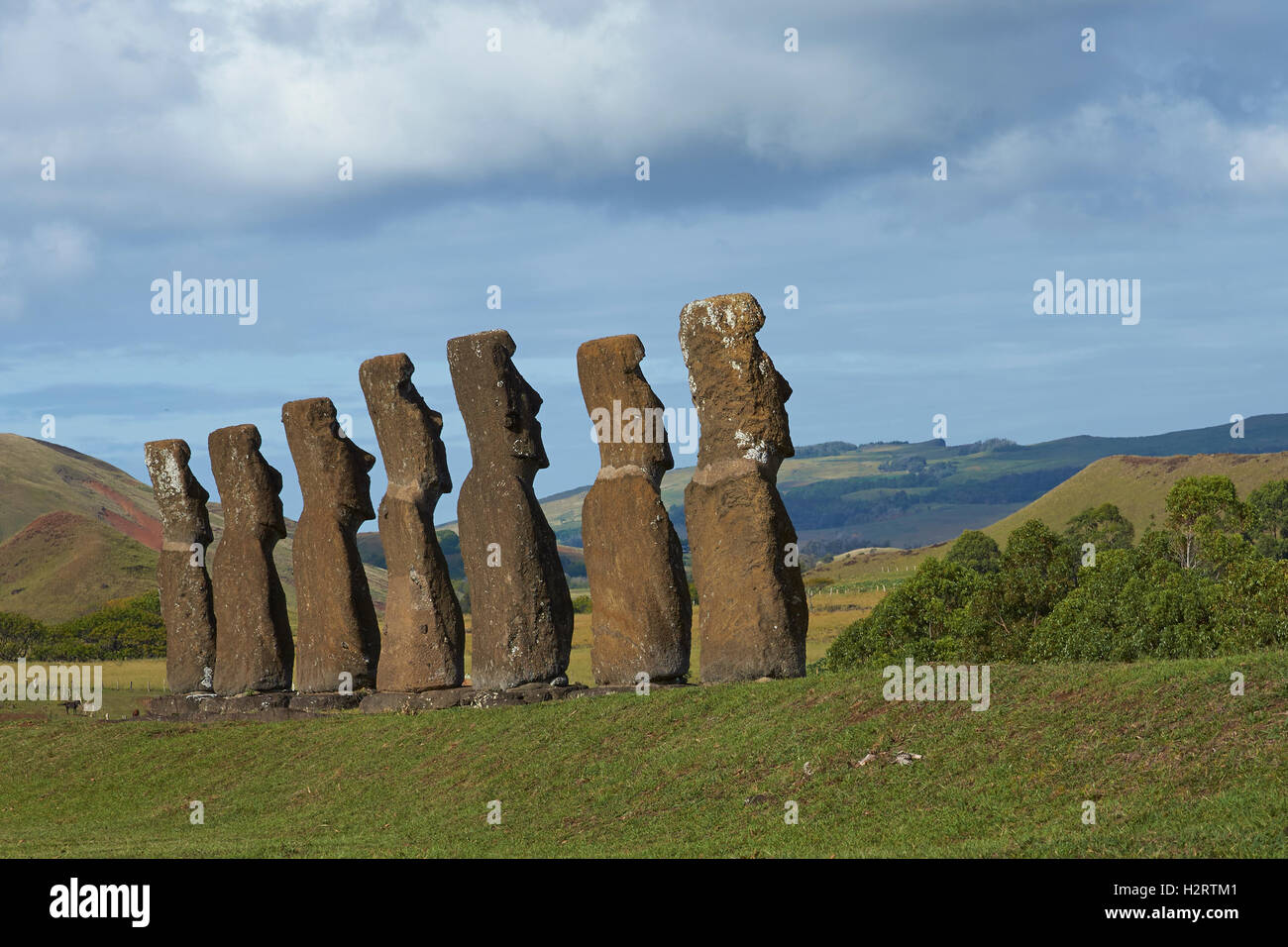 Statue De Moai Hanga Roa Art Banque d'image et photos - Alamy