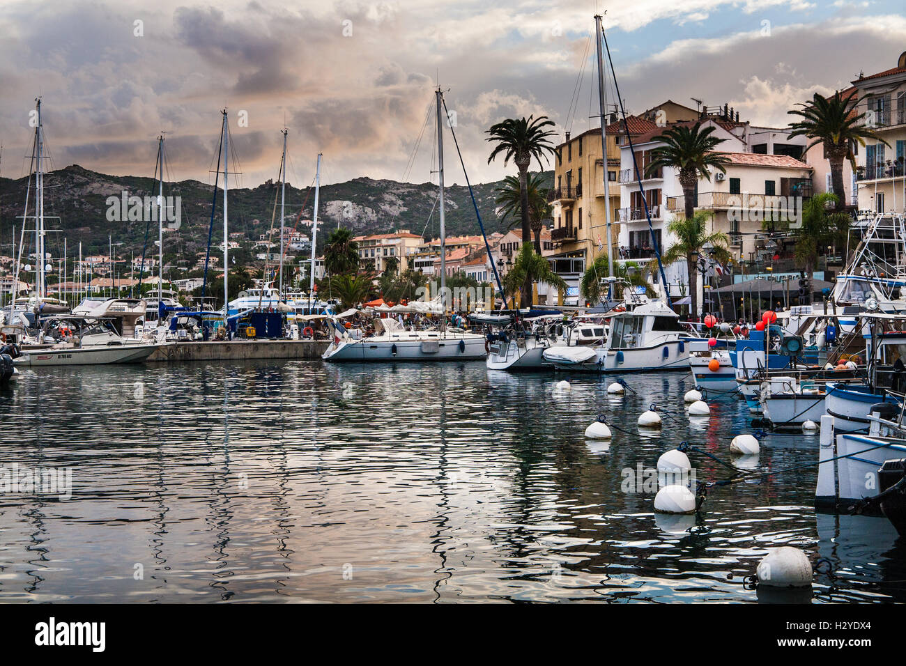 Calvi corse Banque de photographies et d’images à haute résolution - Alamy
