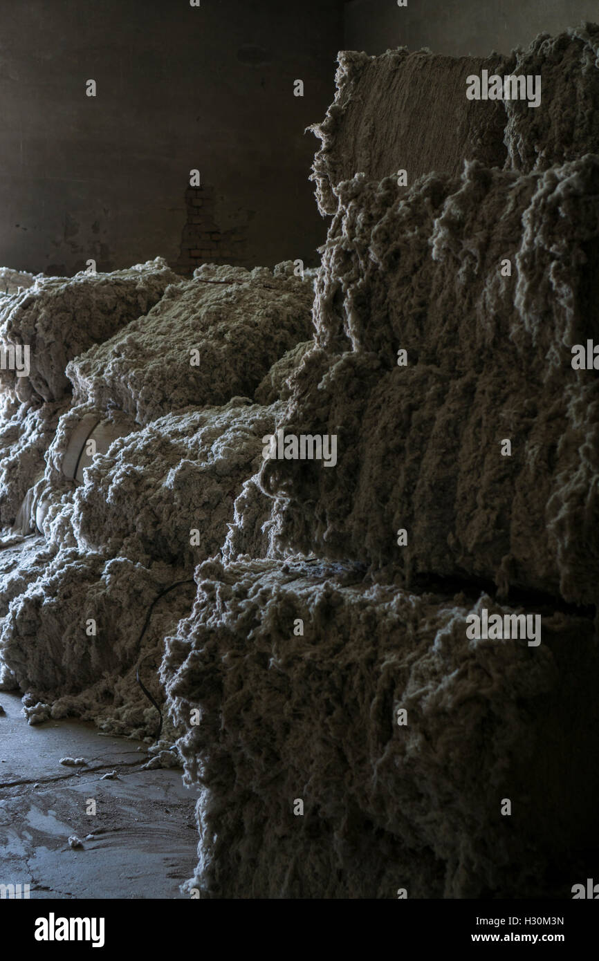 Raw cotton Banque de photographies et d’images à haute résolution - Alamy