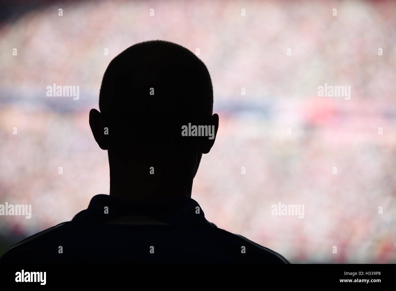 Spectateurs dans le stade Banque de photographies et d’images à haute ...