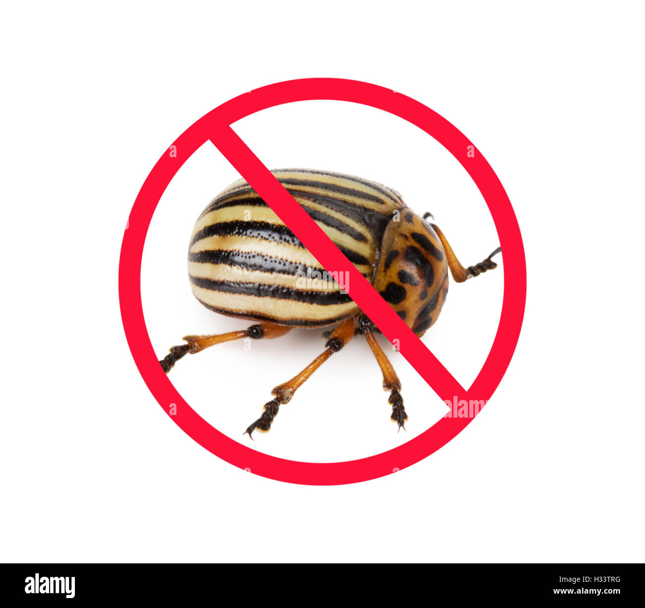 Doryphore polyclète Banque de photographies et d’images à haute ...