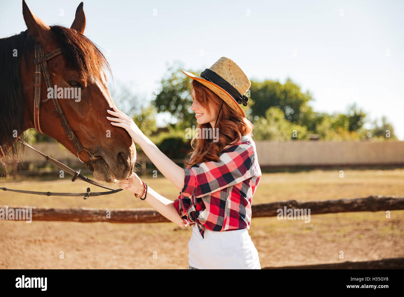 Cheval Roux Banque d'image et photos - Alamy