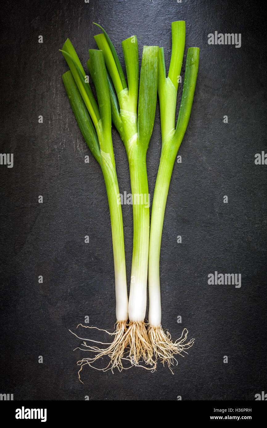 Jeune oignon Banque de photographies et d’images à haute résolution - Alamy