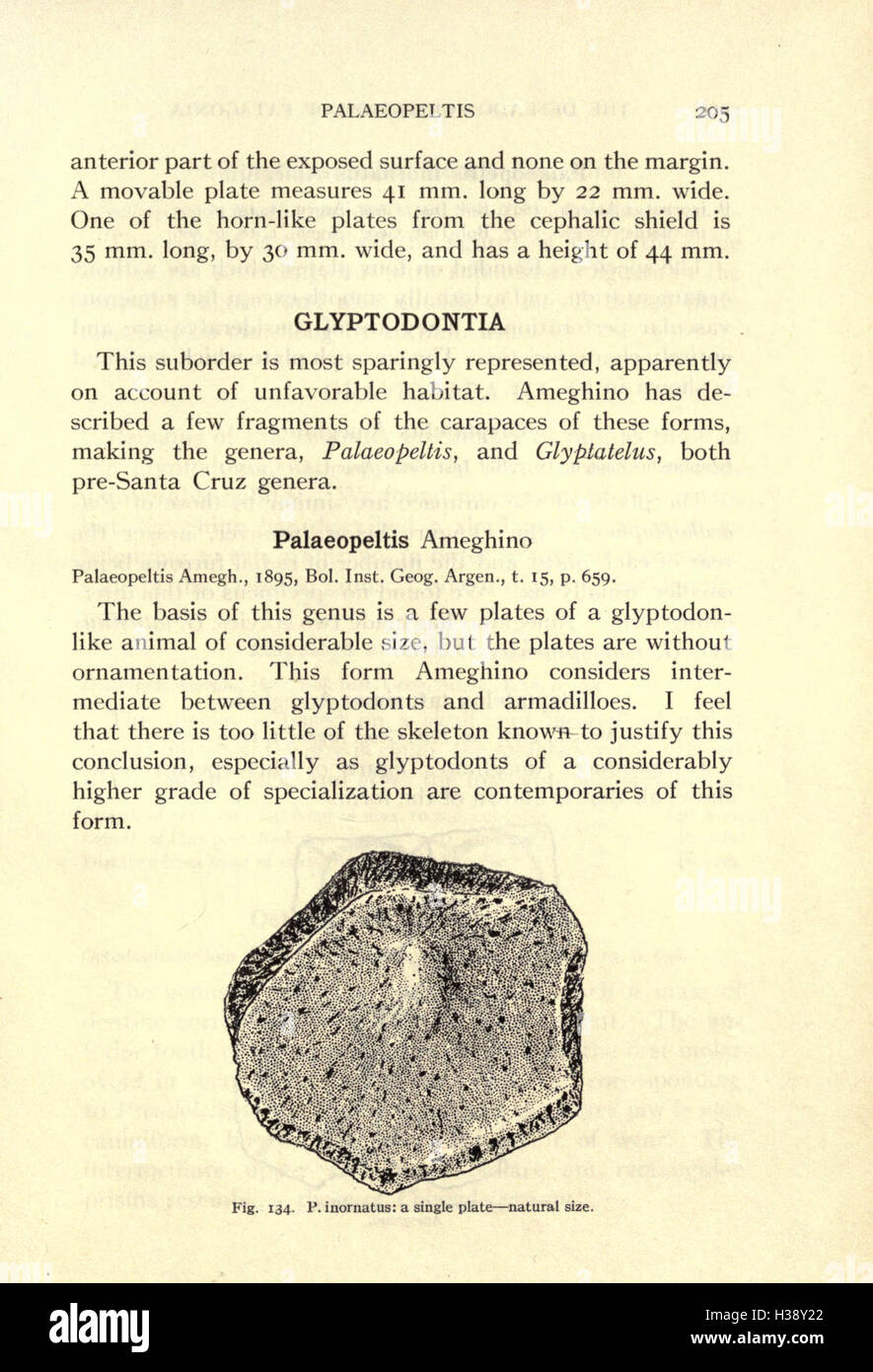 La formation de Deseado en Patagonie est un site géologique important ...