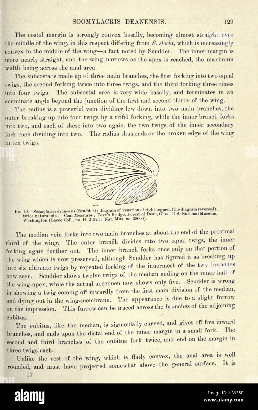 Cette monographie fournit une étude détaillée des insectes fossiles ...