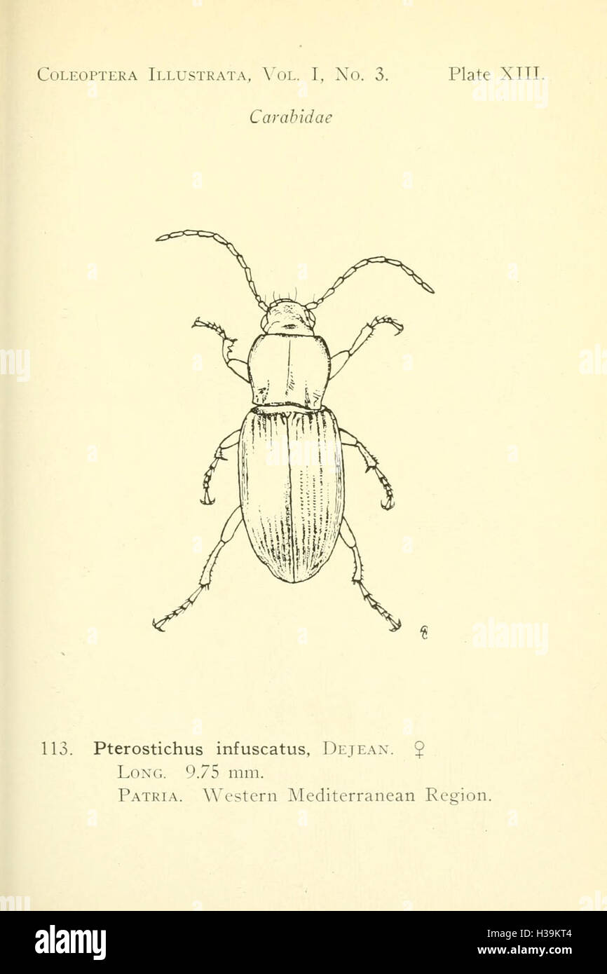 Ce travail présente des descriptions illustrées de diverses espèces de ...