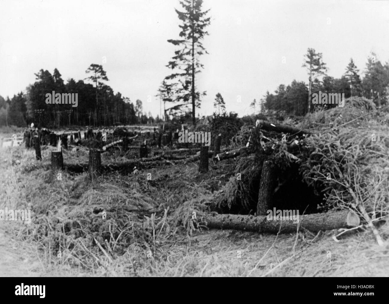Battle of osel island Banque de photographies et d’images à haute ...