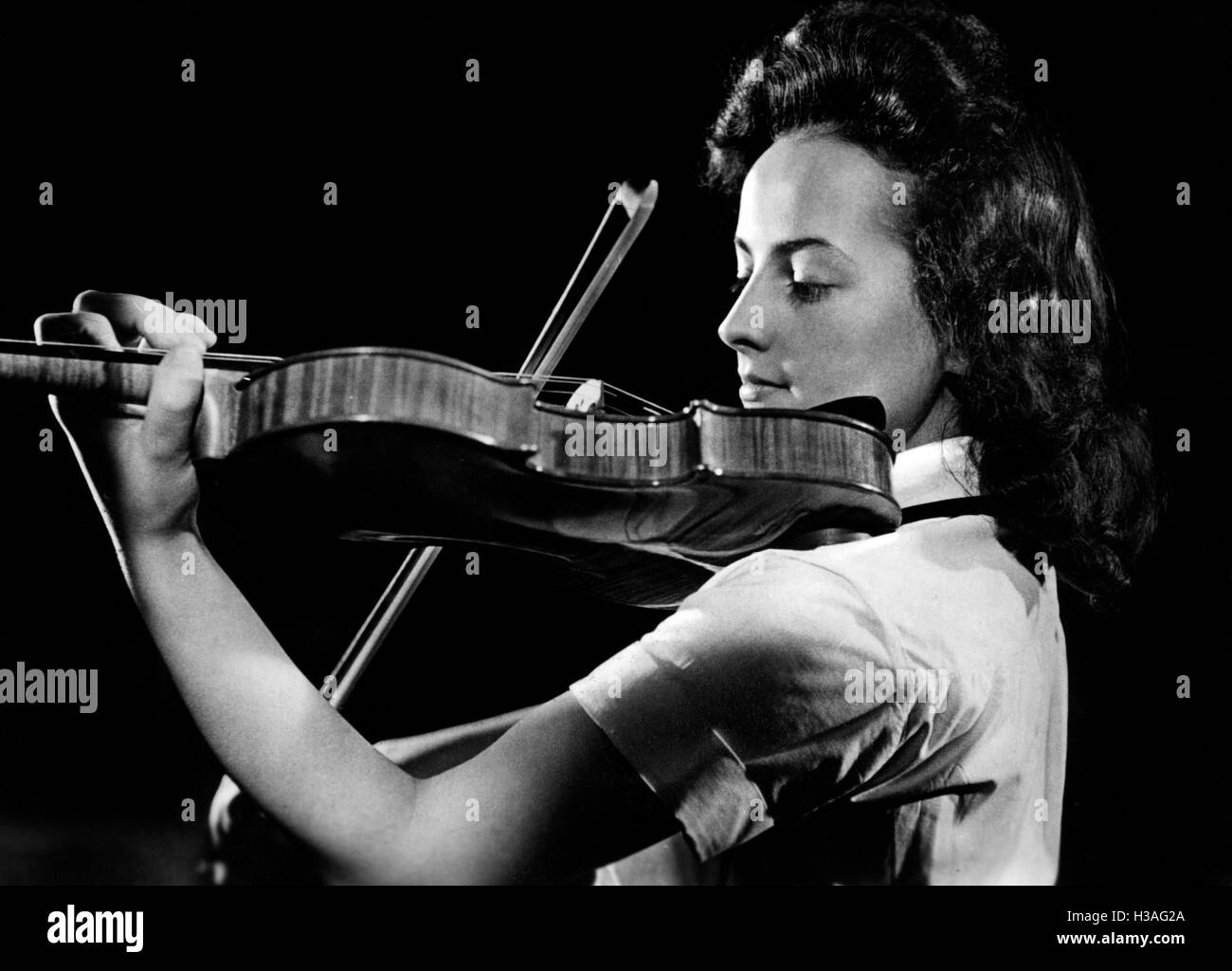 Violoniste violoniste Banque de photographies et d’images à haute ...