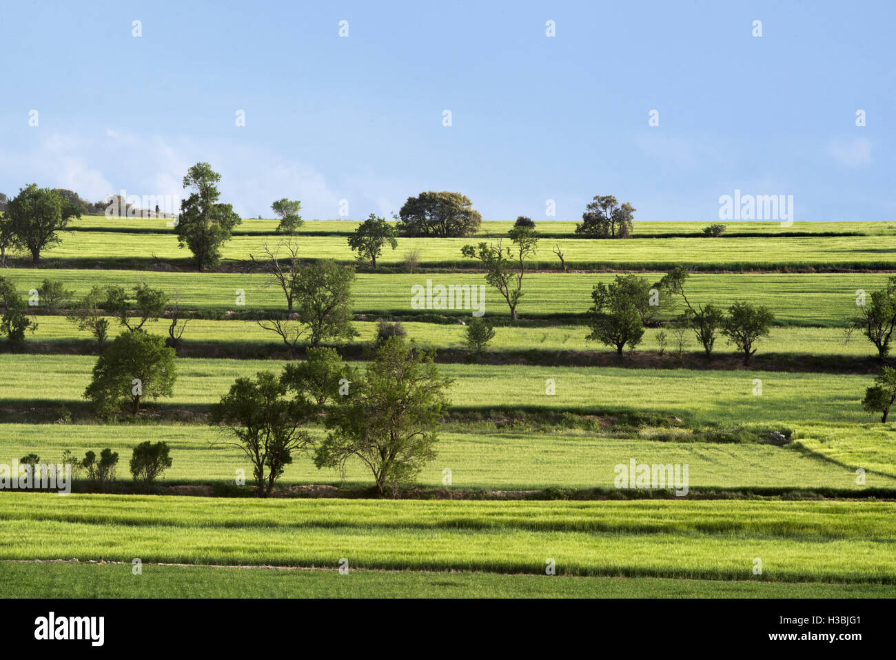 Les steppes de lleida Banque de photographies et d’images à haute ...